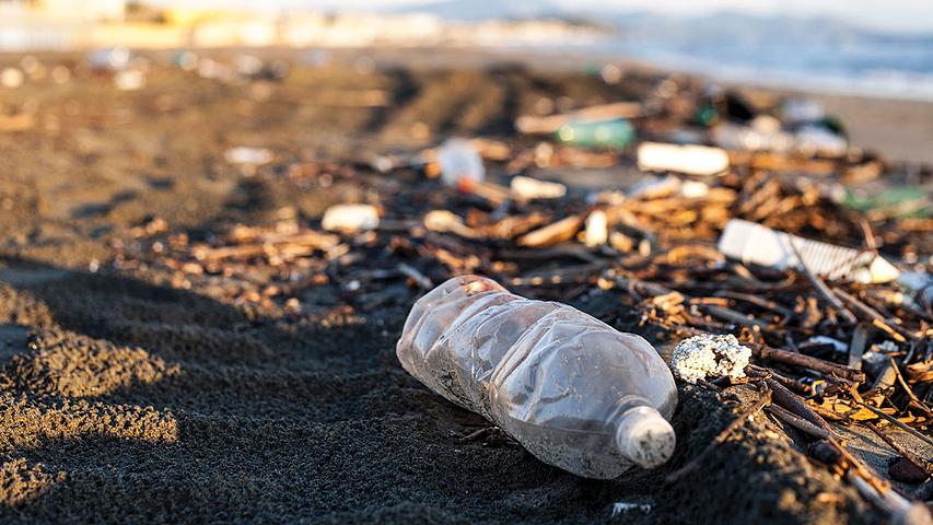 Study highlights how population density and location shape litter ...