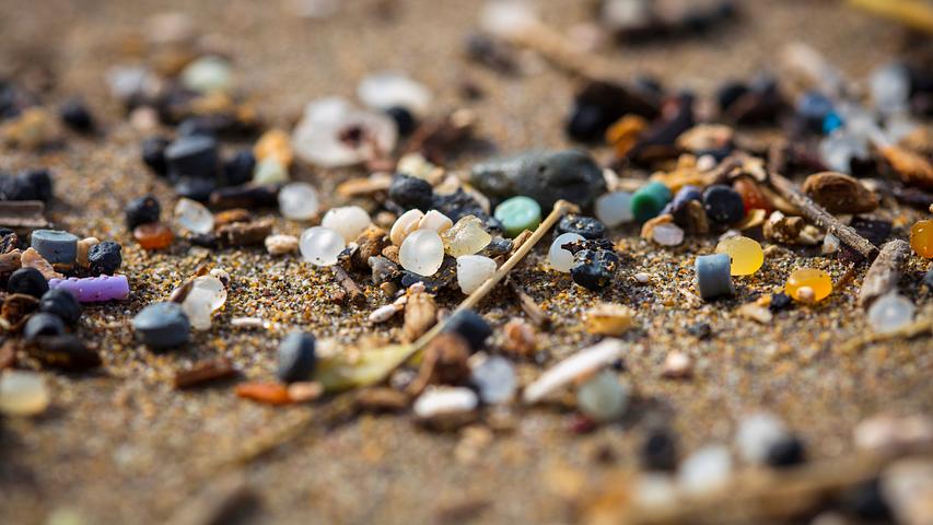 Environment, Ecosystem and Decarbonisation - University of Plymouth