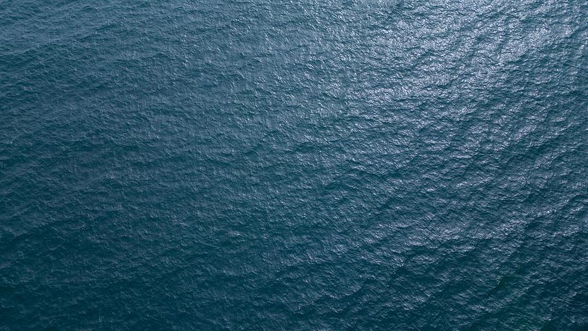 University experts help unlock the Secrets of the Sea - University of ...