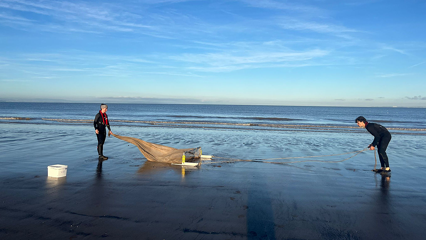 Fish nurseries in a changing world - University of Plymouth
