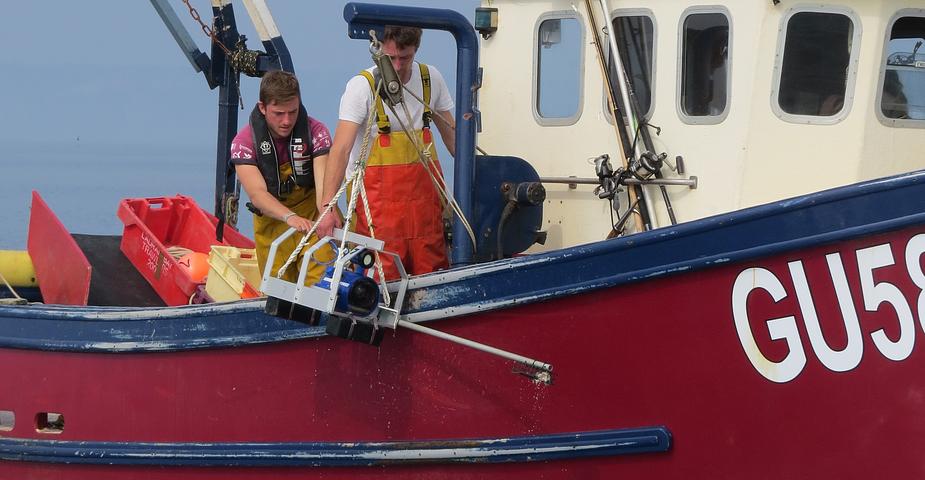 Dr Adam Rees, Blue Marine Foundation Research Officer - University of ...