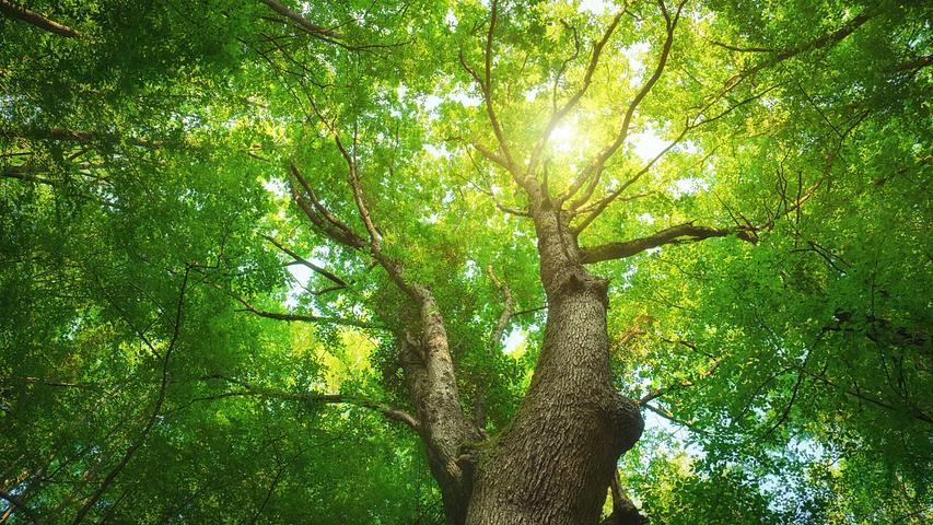 CO-ACTION - University of Plymouth