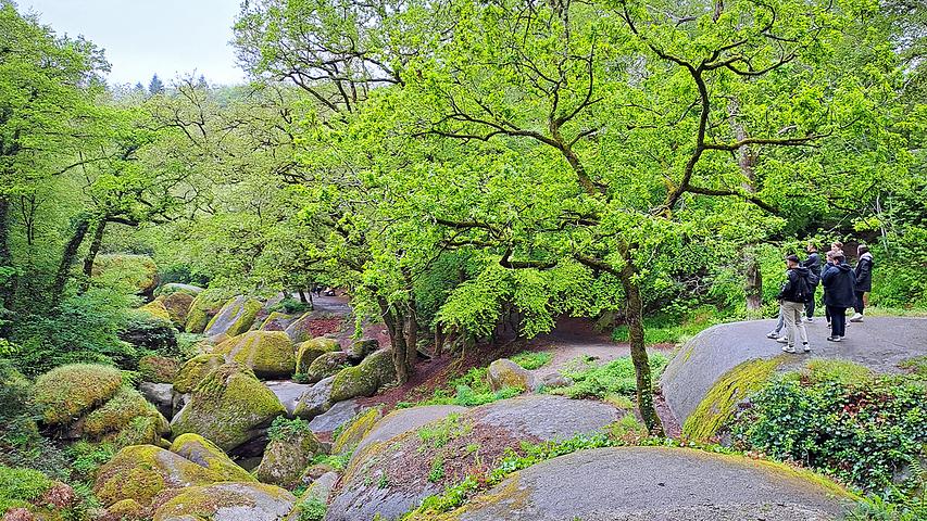 Bsc Hons Environmental Geography University Of Plymouth