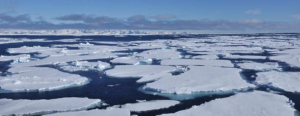 Scientists show polar ‘polynya’ supported marine life during last Ice ...