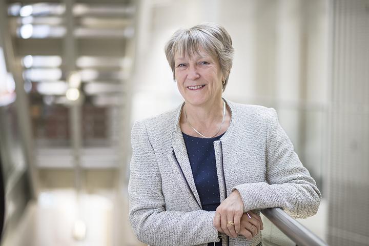 Professor appointed to newly created role with NIHR - University of ...