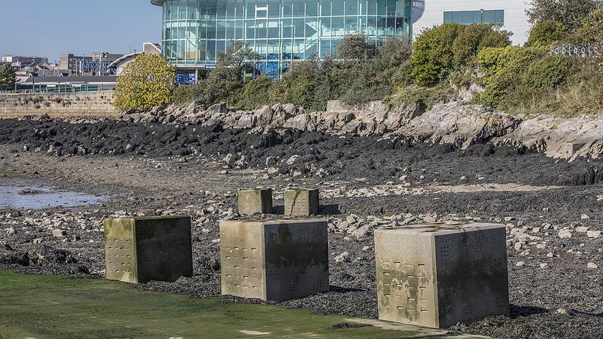 Marine Eco-engineering Research Unit - University of Plymouth