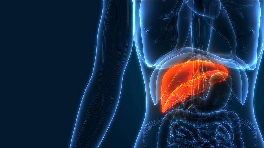 BOOST - University of Plymouth