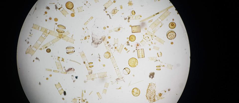 Plymouth scientists highlight effects of climate change on UK’s ...