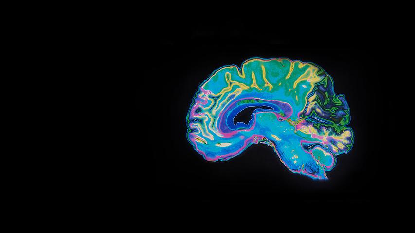 Seminal research into musical ‘illusions’ influences new piece for ...