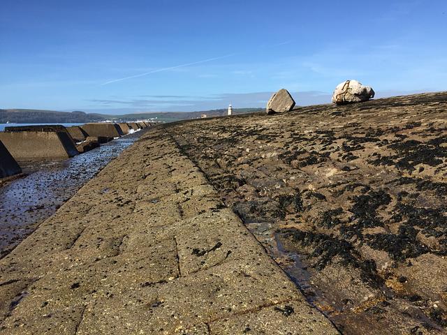 Eco-engineering creates more sustainable ecosystems for the mutual ...