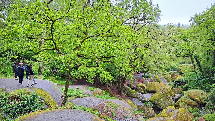 BSc (Hons) Environmental Geography - University of Plymouth