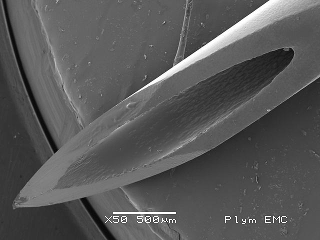 Intravenous Cannulation for Imaging - University of Plymouth