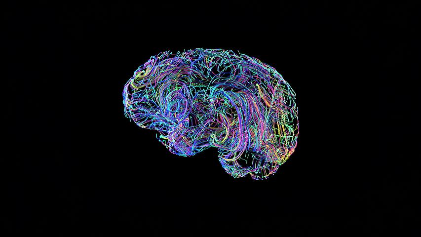Brain and cognition across the lifespan - University of Plymouth