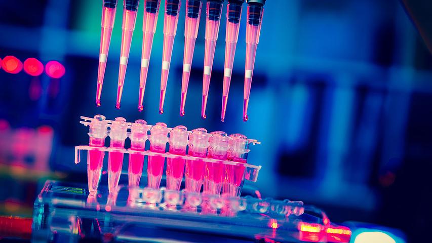 Diagnostics research in the Biomedical Research Group - University of ...