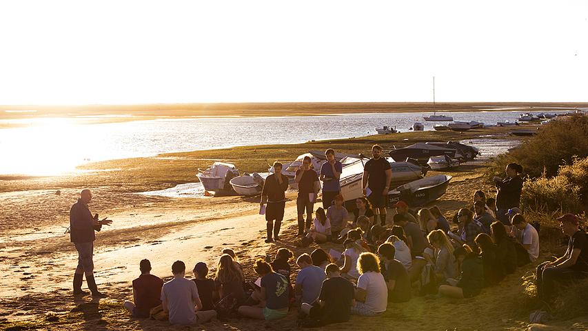 Field courses with marine biology - University of Plymouth