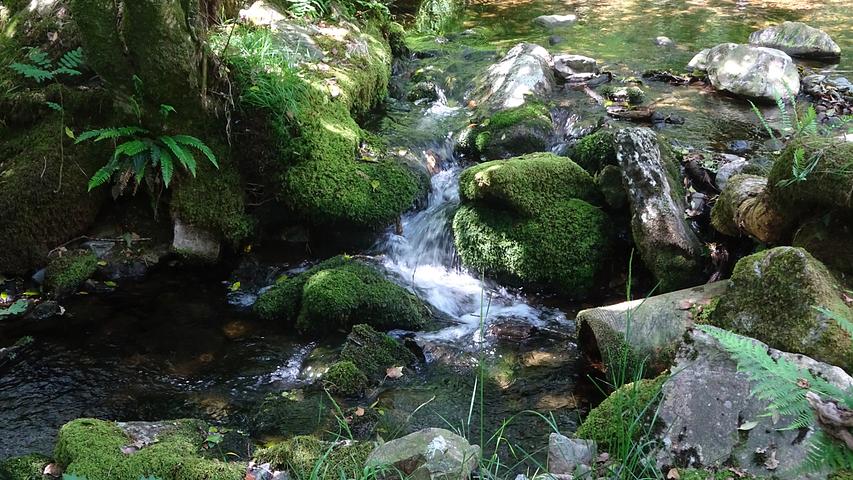 Data Accessibility for River Catchment Environmental Enhancement ...