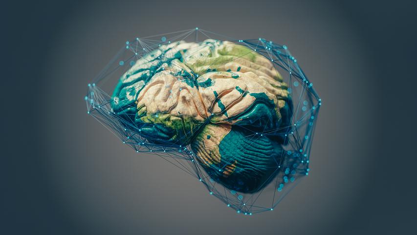 Environment and lifestyle neuroscience - University of Plymouth