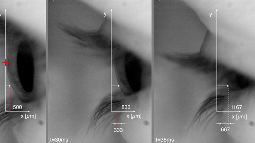The Ocular Biomechanics Research Laboratory - University of Plymouth