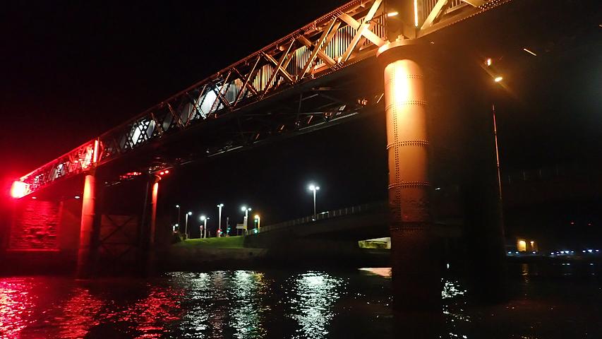 Coastal cities leave up to 75% of seafloor exposed to harmful light ...