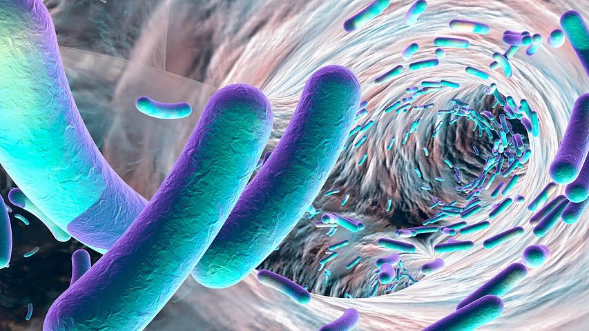 Antibiotic resistant pathogens research group projects - University of ...