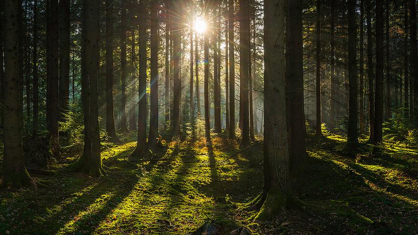 PhD Environmental Sciences - University of Plymouth