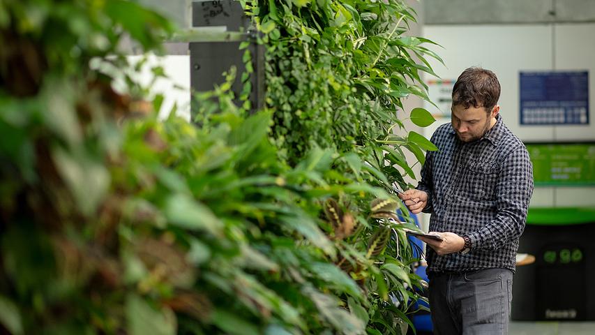 Ultra Low-Carbon Building Materials: CobBauge, Natural Insulation and ...