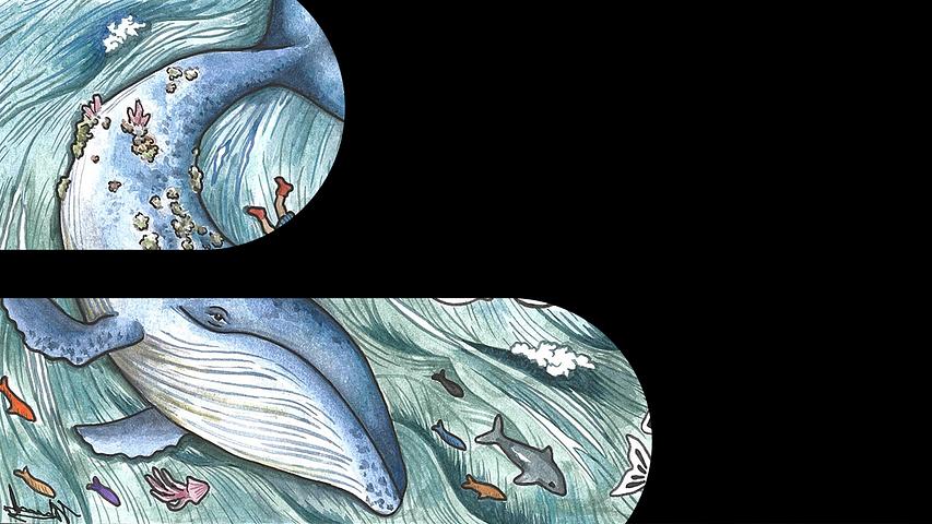 The Whale's Tale - University of Plymouth