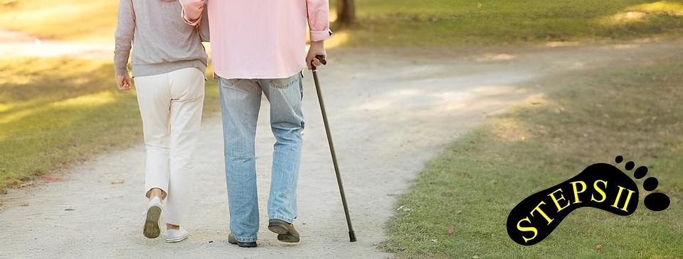 STEPS II - University of Plymouth