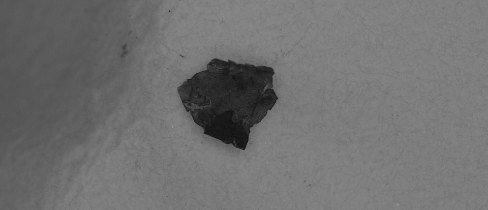 Study reveals abundance of microscopic paint flakes in the North ...