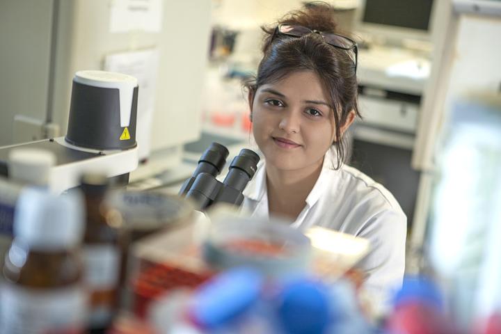 Prestigious Athena SWAN Silver Award for Plymouth University Peninsula ...