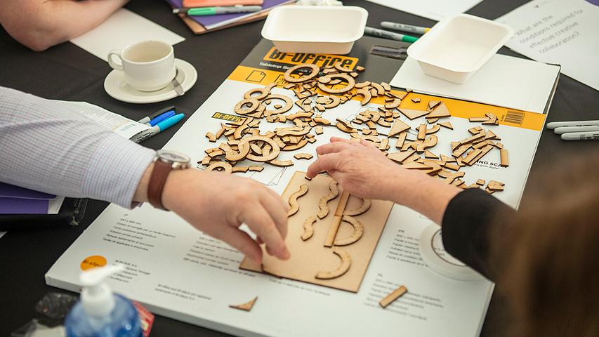 Innovative Placements Scheme - University of Plymouth