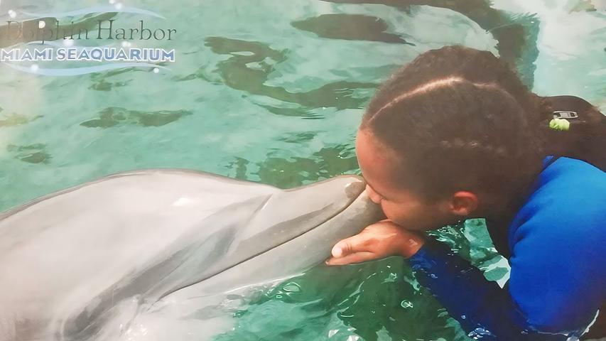 Meet the ‘dolphin doctor’ student living her dream thanks to Clearing ...