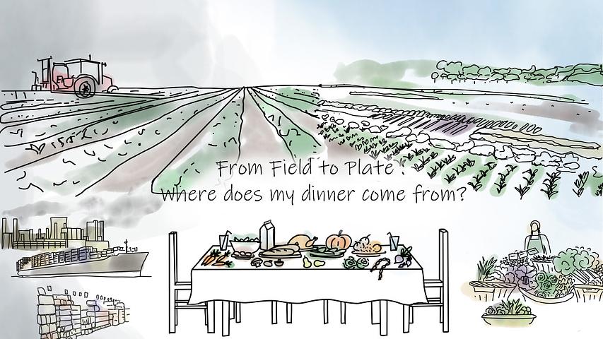From Field to Plate – where does my dinner come from? - University of ...