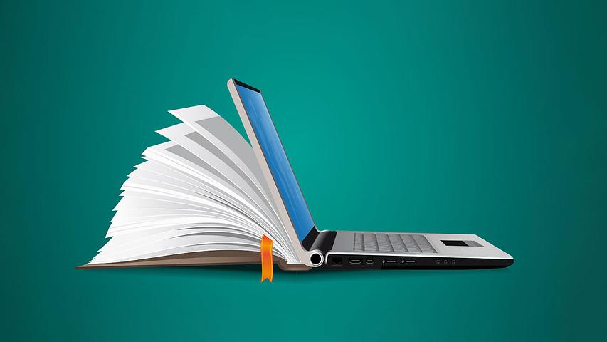 Common Placement Assessment Form (CPAF) - University of Plymouth