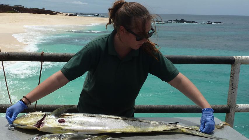 Kate Downes - BSc (Hons) Environmental Science graduate - University of ...