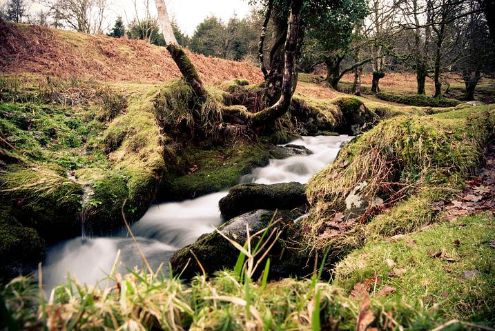 Scientists join climate task force to deliver Devon’s carbon plan ...