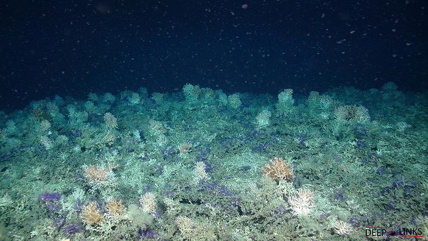 Marine resource management - University of Plymouth