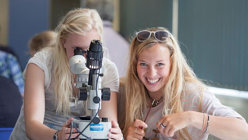 Girls into Geoscience wins national award for inspiring female ...