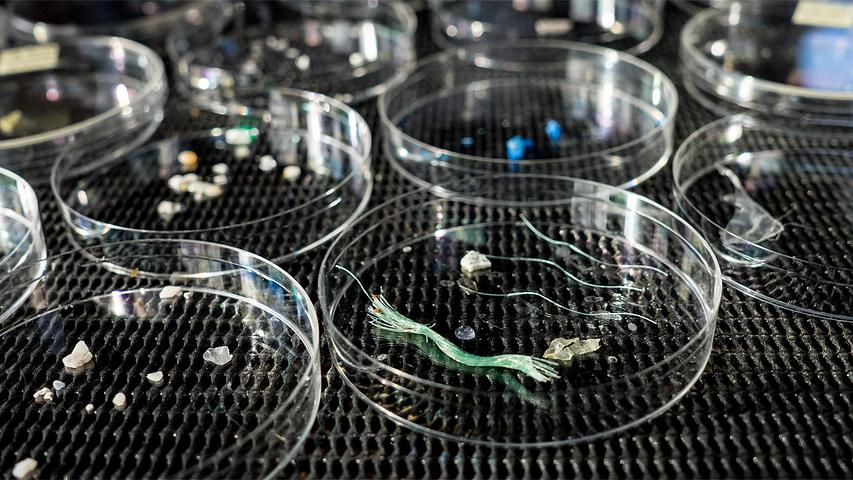 Study demonstrates how microplastic particles differ across the ...