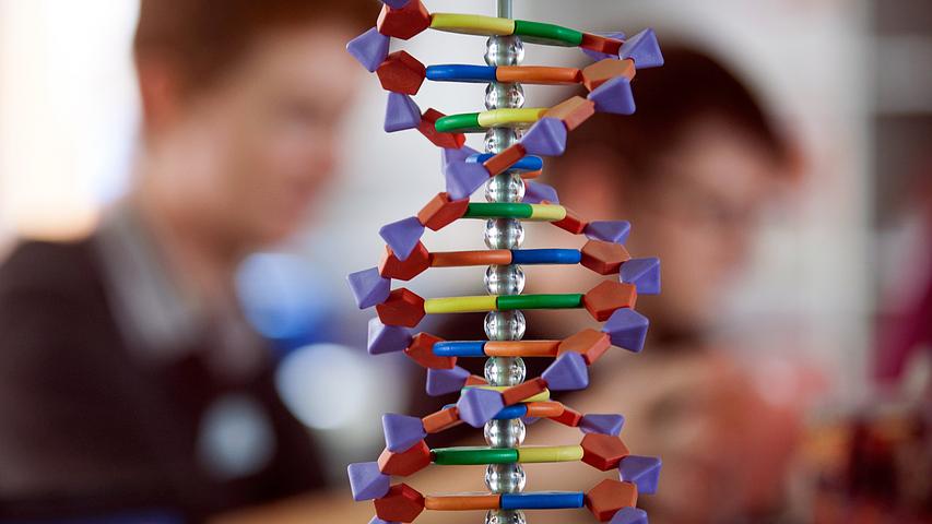 What can you do with a human biosciences degree? - University of Plymouth