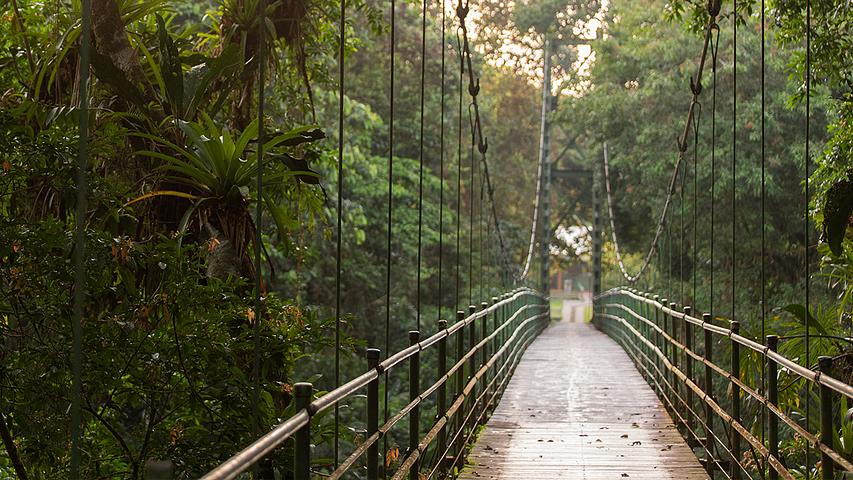 Under the microscope: Studying the effects of climate change in Costa ...