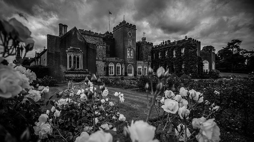 Cornerstone at Powderham Castle - University of Plymouth