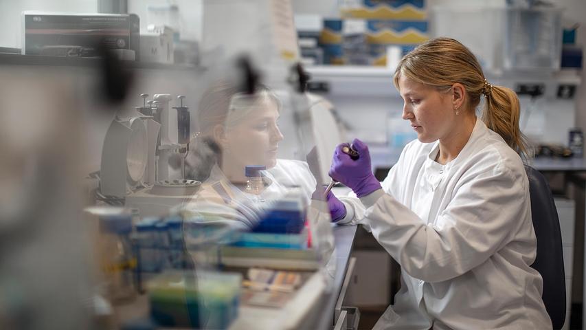 BSc (Hons) Medical Sciences - University of Plymouth