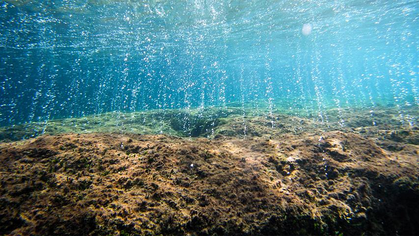 What is ocean acidification? Find out how research at Plymouth is ...