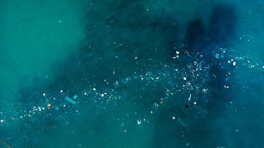 Healthy oceans - University of Plymouth