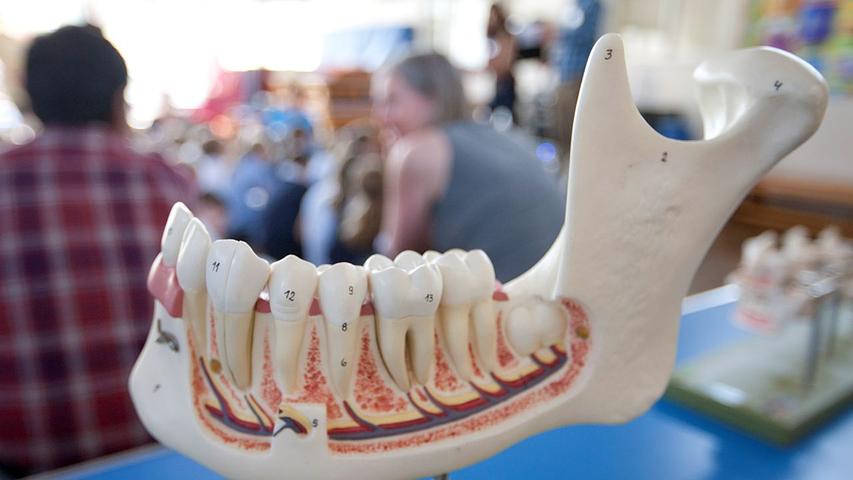 BSc Dental Therapy and Hygiene – Year 1 - University of Plymouth