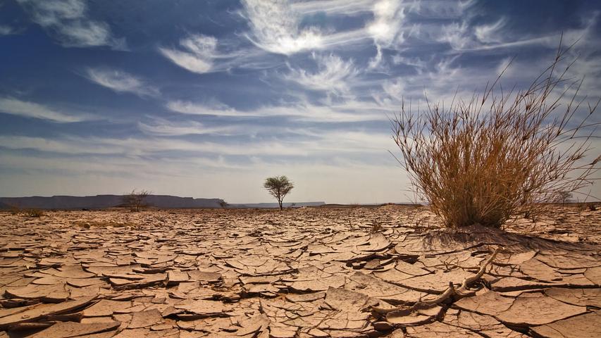 “The nation that destroys its soil destroys itself” - University of ...