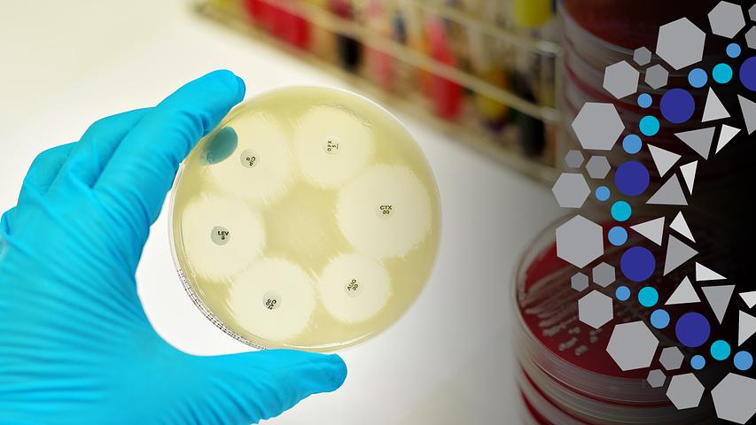 Antibiotic resistant pathogens research group - University of Plymouth