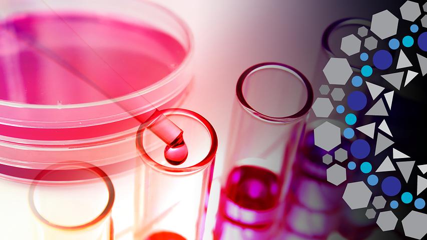 3D Tissue Engineering and Biocompatibility - University of Plymouth