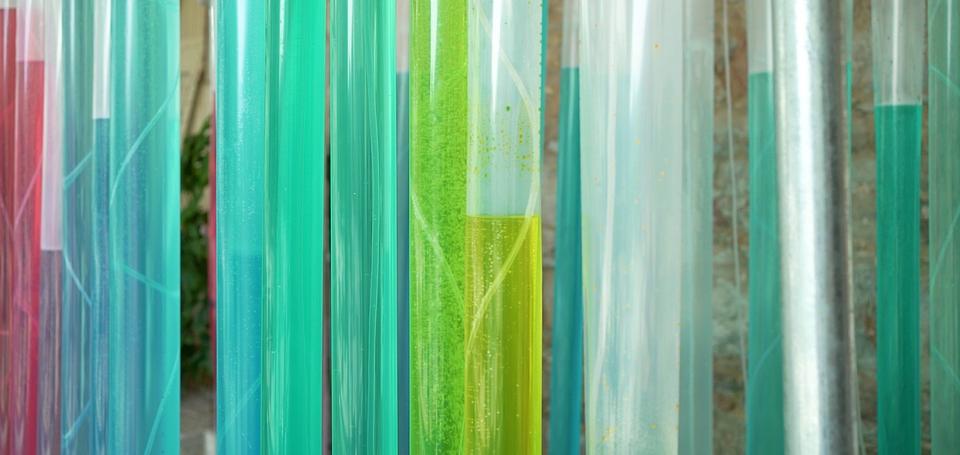 ‘Ocean Organ’ aims to highlight the damaging effects of climate change ...